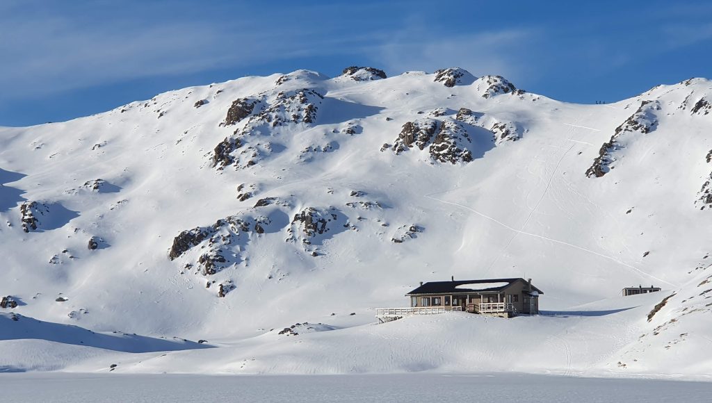 Te Ararora Alternates Guide - sean maskill